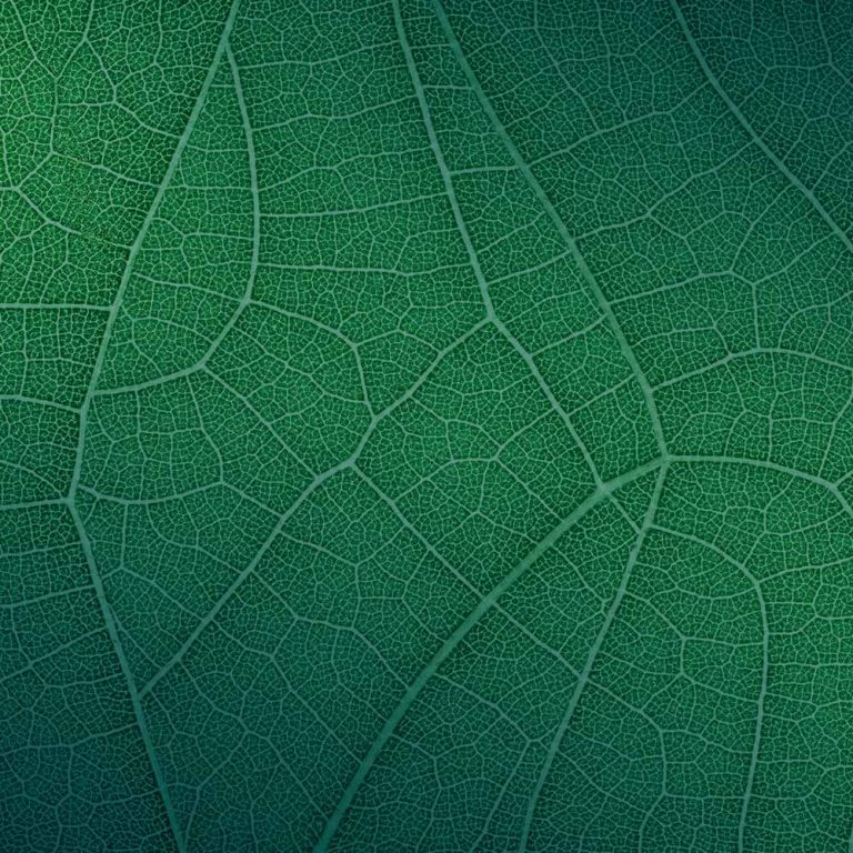 FAQ - Il fondo - FOPEN